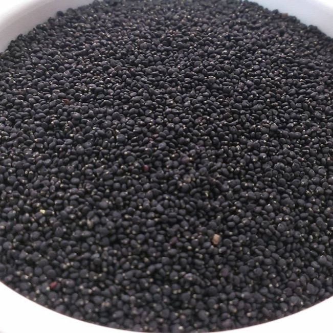 Purslane Seeds Bulk 2.5kg (per kg) – Global Peace of Nations Trading LTD.